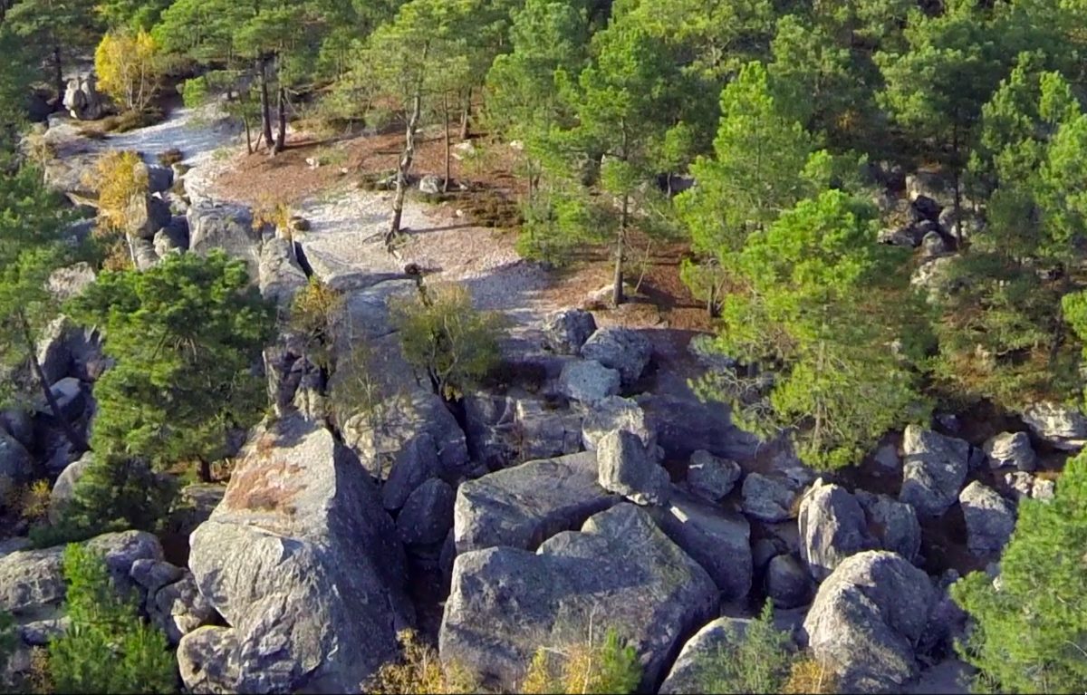 Réalisations | Chlorofilm